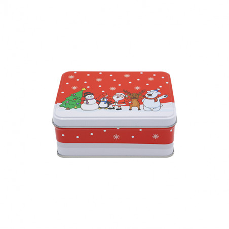 Boites en fer blanc pour petits biscuits et cookies